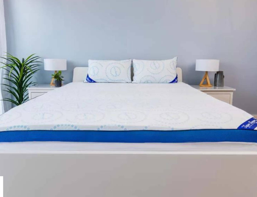 Best Pillow Top Mattress Topper in 2022